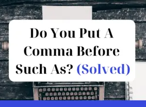 Do You Put A Comma Before Such As? (Solved)