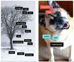 24 Must-Have Poem Writing Apps (iOS & Android)