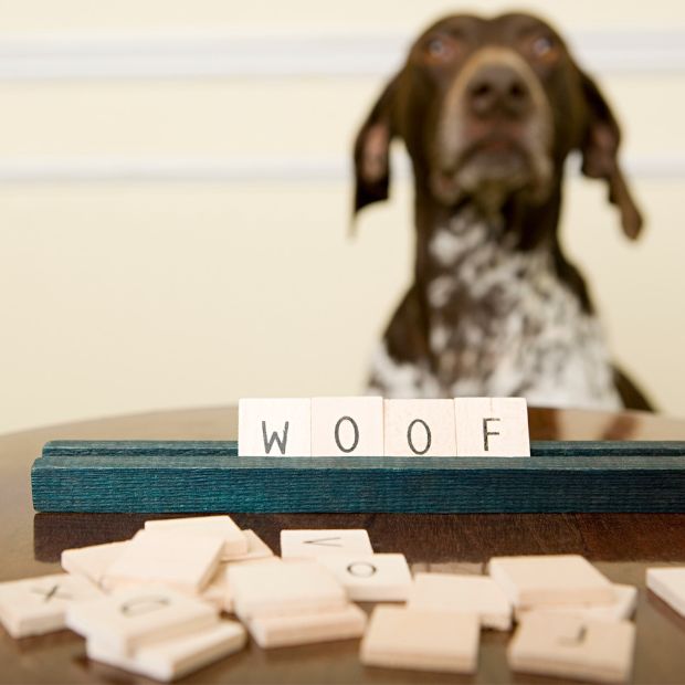 10 Best Word Games To Improve Vocabulary iOS Android 10 Best Word Games To Improve Vocabulary iOS Android
