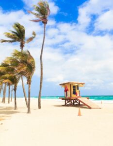 12 Best Literary Agents In Florida (Contact Info)