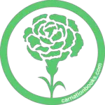 30 Best LGBTQ+ Book Publishers (In 2024)